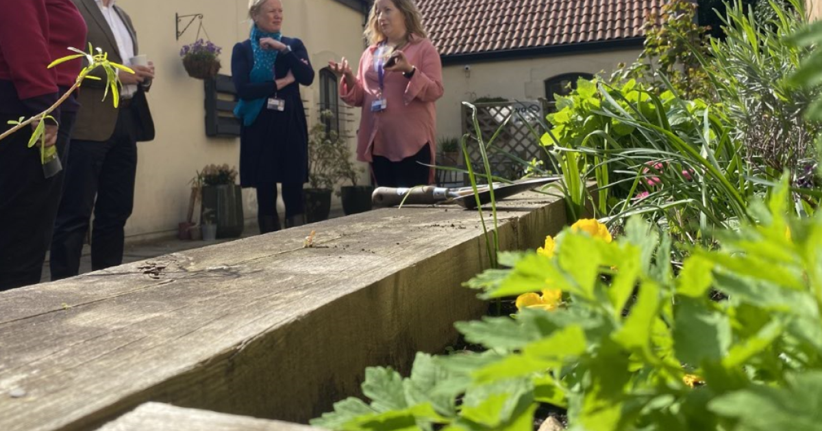 DHI to Host More Free Liver Scan Drop-ins | DHI